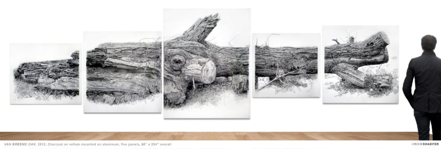 Three Trees: Life-Size Drawings - Silvermine Arts Center