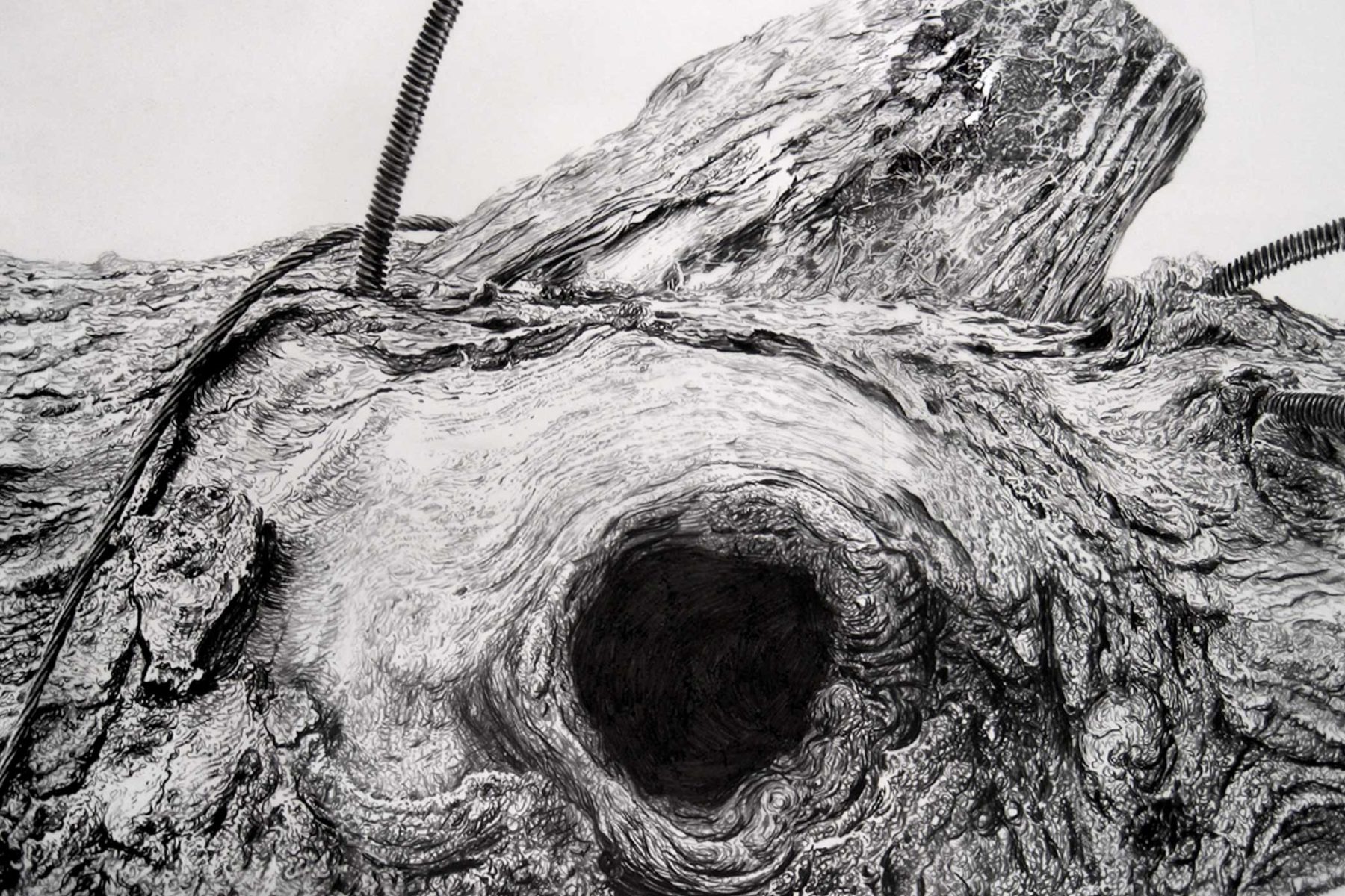 Three Trees: Life-Size Drawings - Silvermine Arts Center